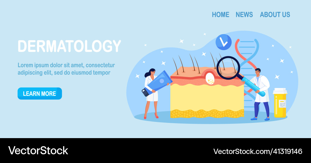Dermatology skin epidermis scheme with acne Vector Image