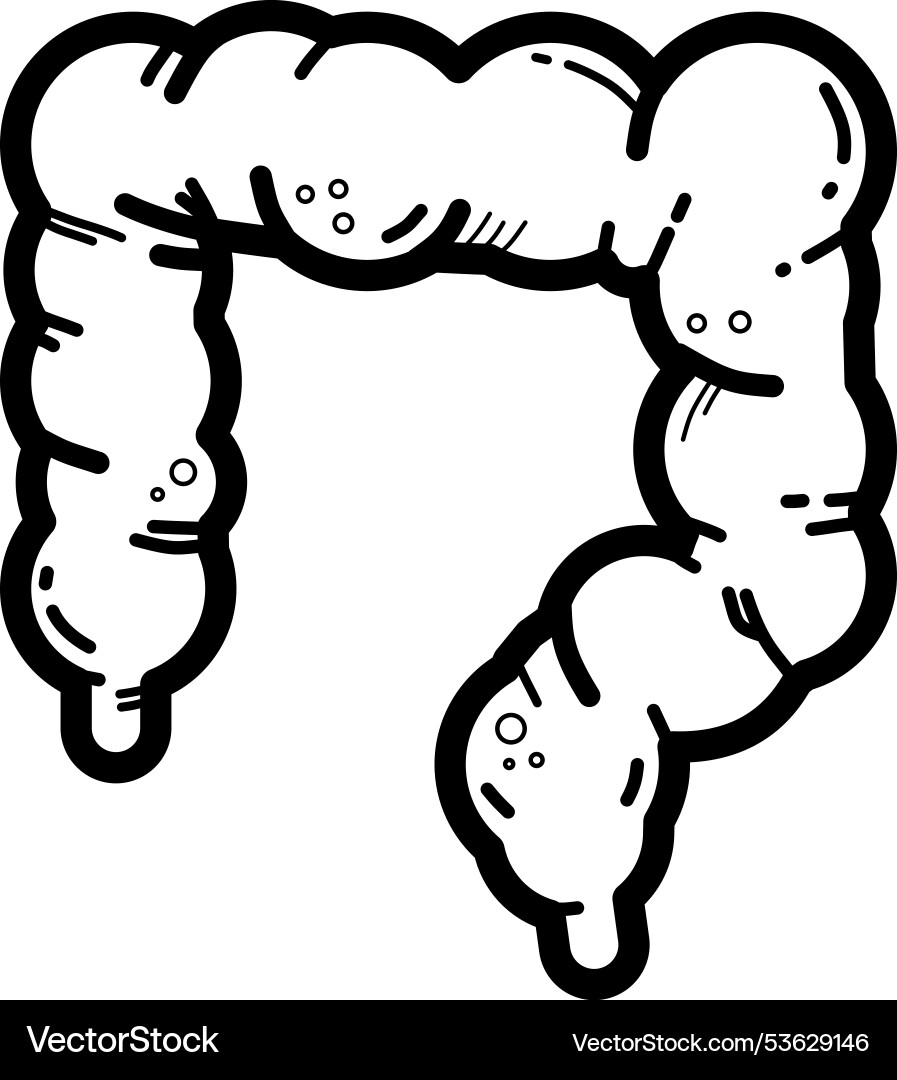 Human intestines excretory system - icon Vector Image