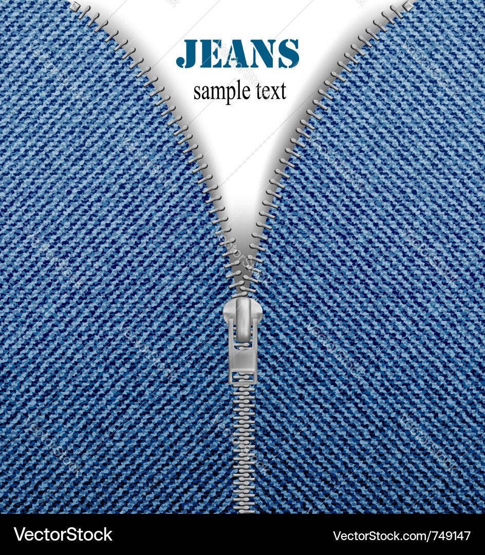 Blue Jeans Zipper Detail Royalty Free Vector Image