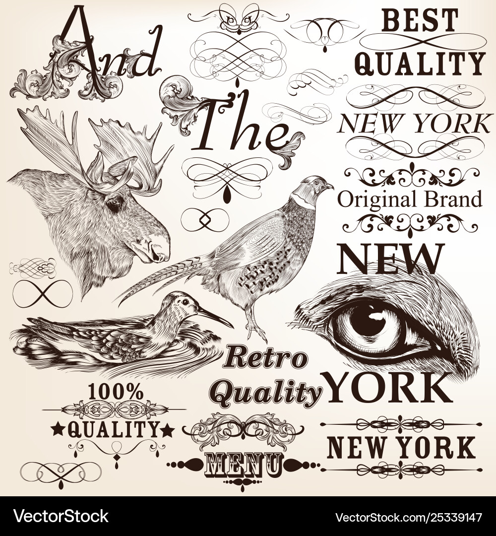 Collection decorative hand drawn animals swirls Vector Image