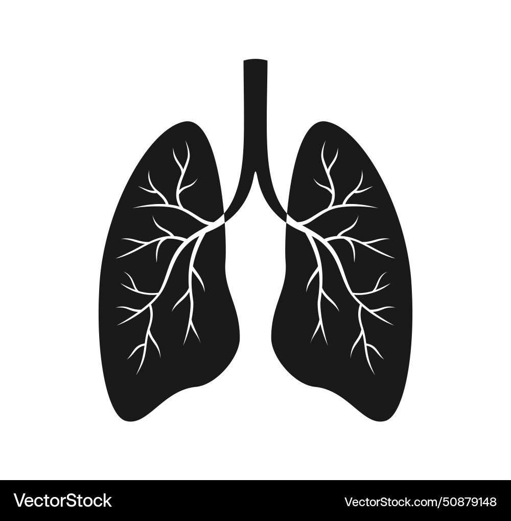 Black lungs icon on white background flat Vector Image