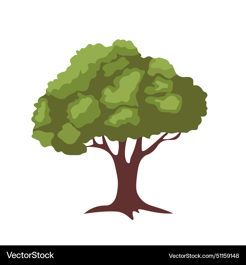 Cartoon green tree Royalty Free Vector Image - VectorStock