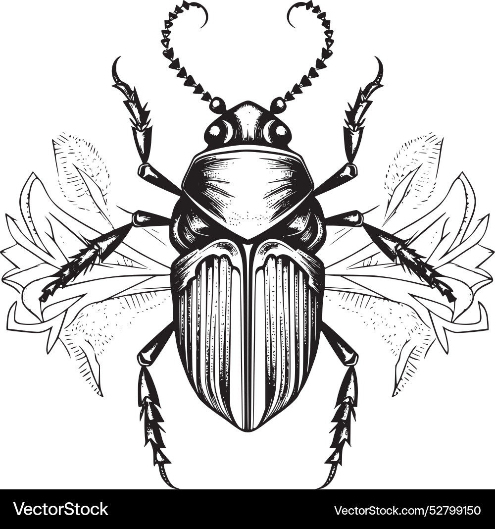 Bug insect Royalty Free Vector Image - VectorStock Bug insect Royalty Free Vector Image - VectorStock