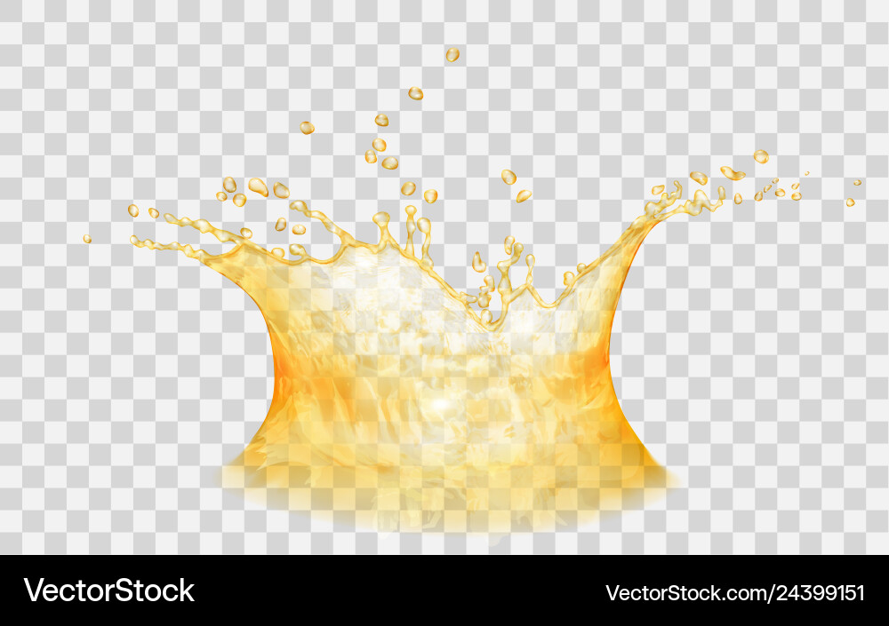 Splash of water with drops Royalty Free Vector Image