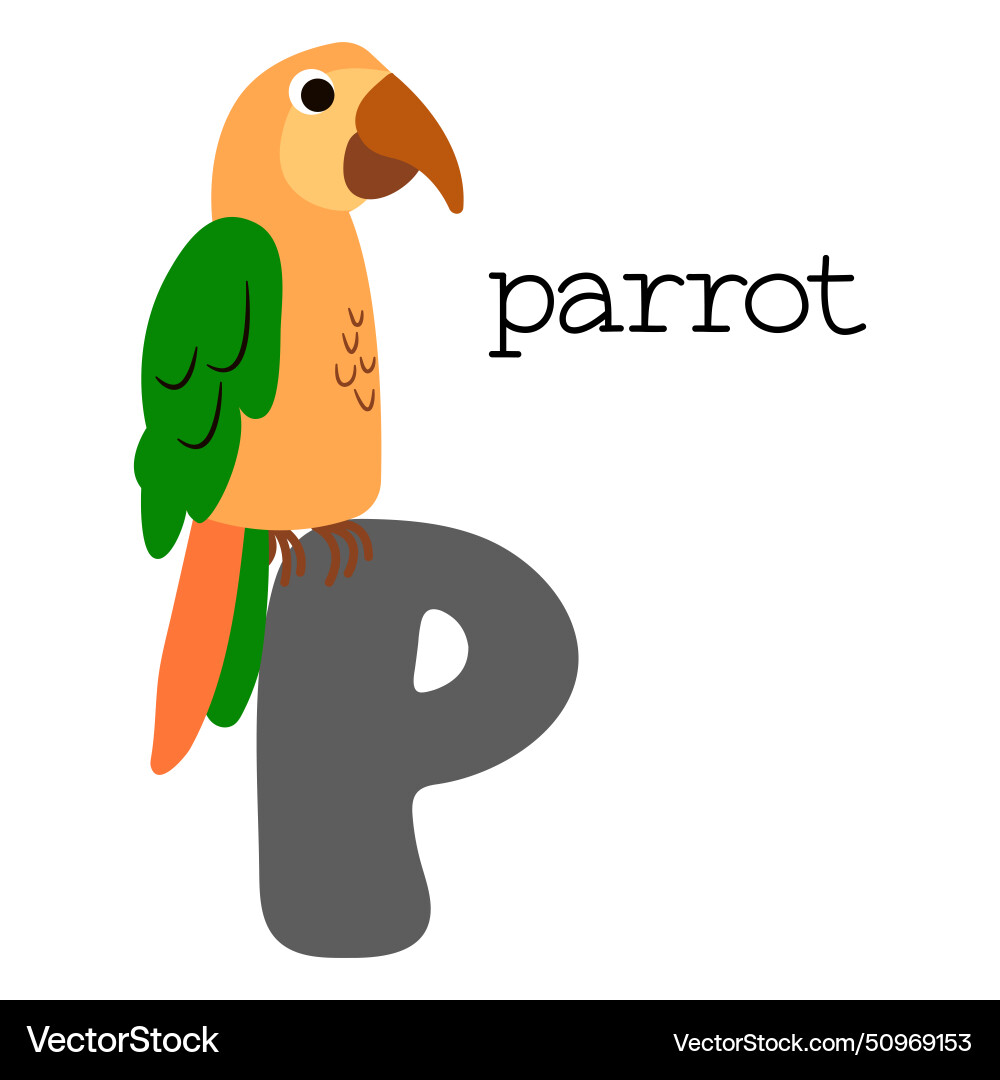 Educational of letter p from alphabet Royalty Free Vector