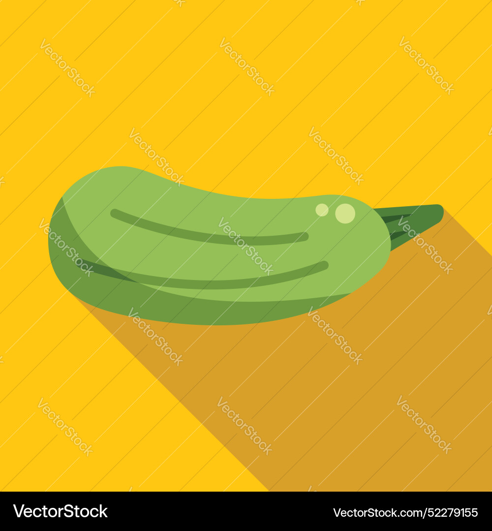 Green zucchini squash lying on yellow background Vector Image