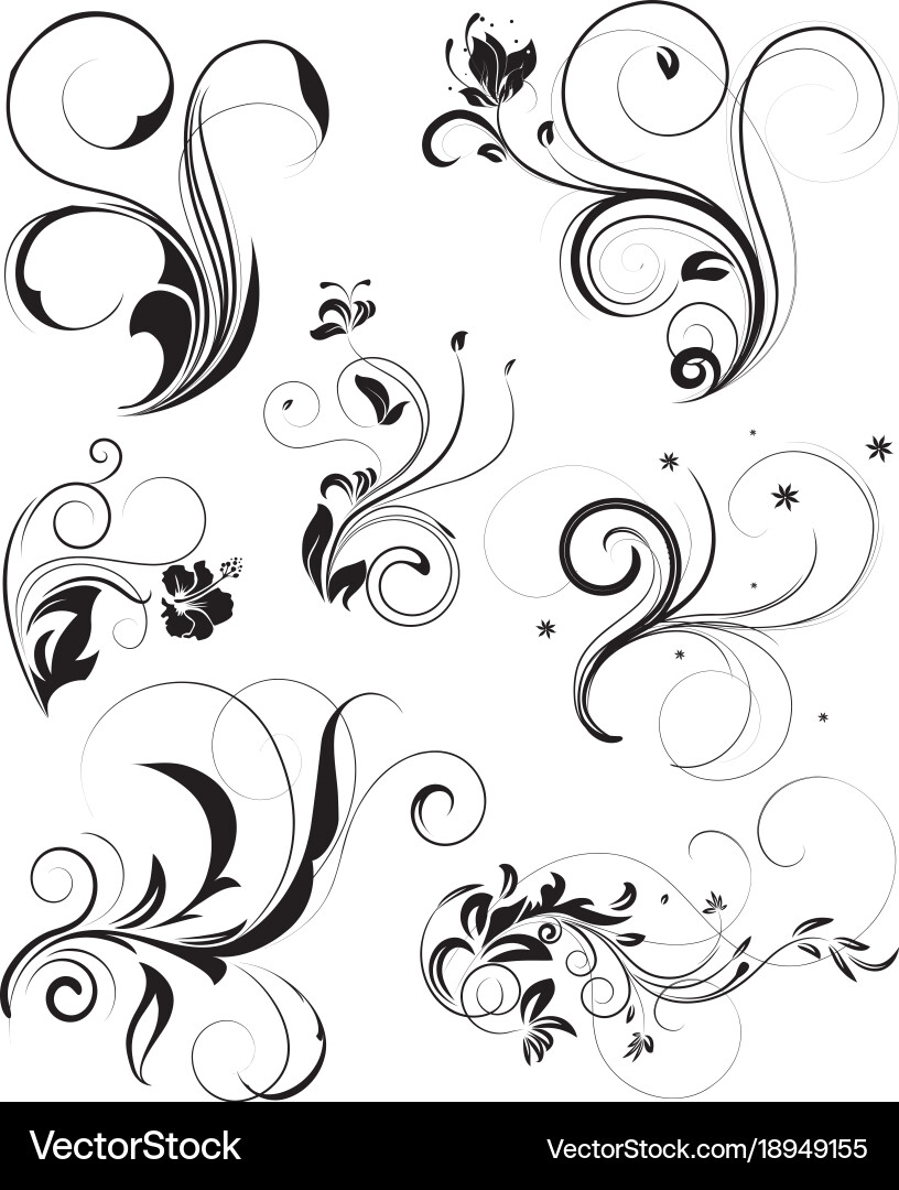 Set of floral Royalty Free Vector Image - VectorStock