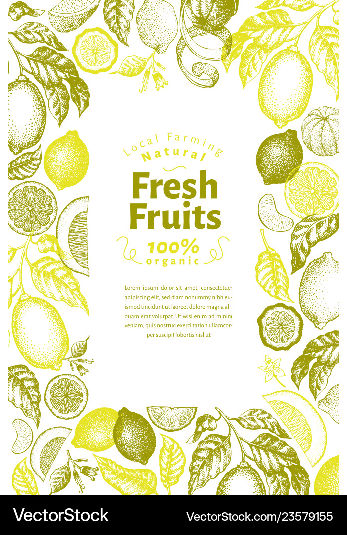 Vintage citrus banner template lemon tree design Vector Image
