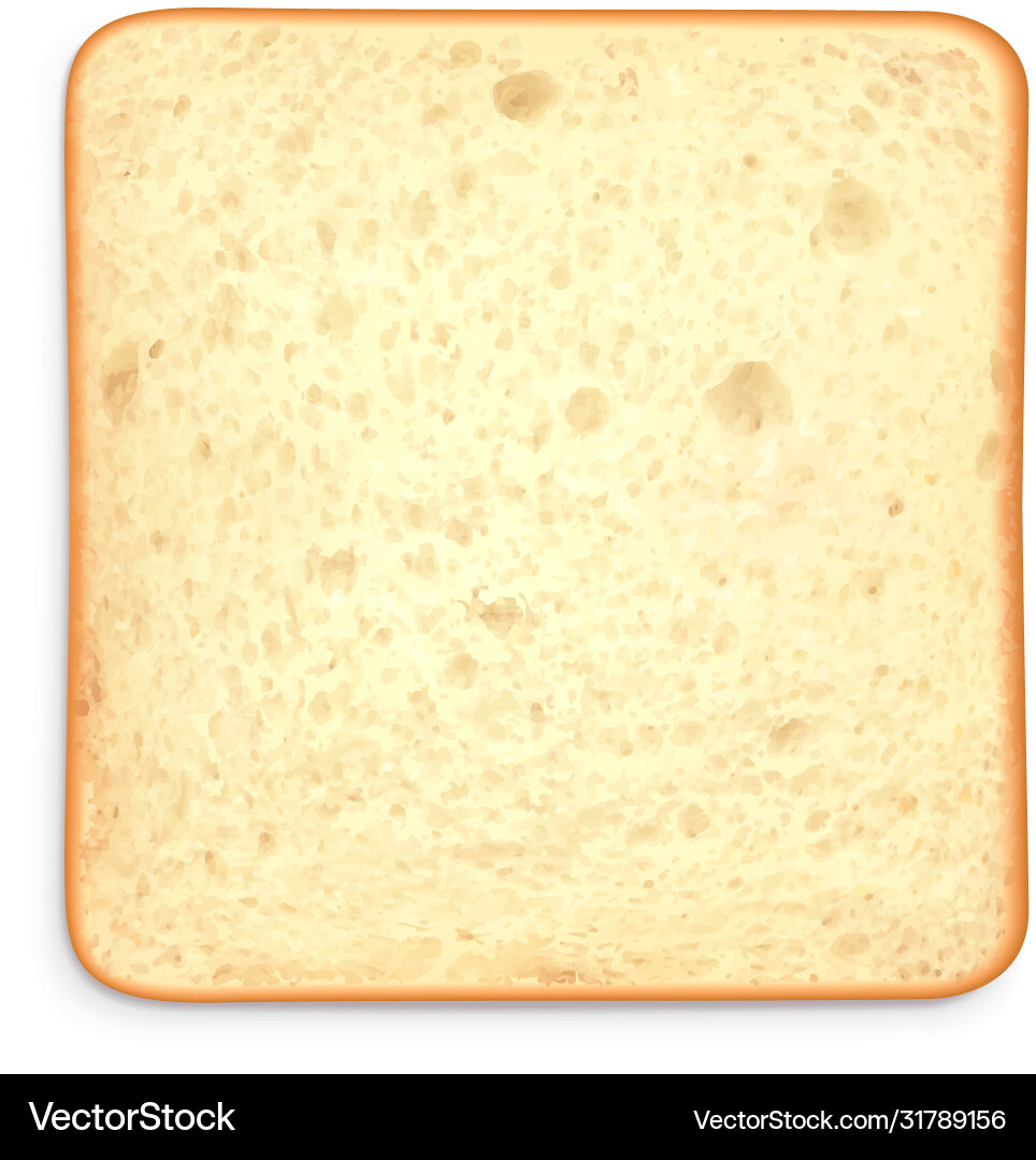 Delicious Toast Slice on White Background Vector Image