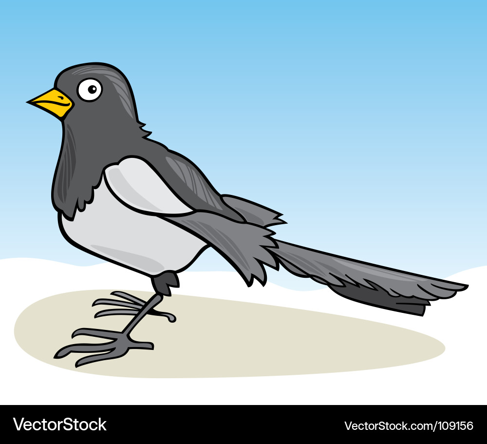 Magpie Royalty Free Vector Image - VectorStock