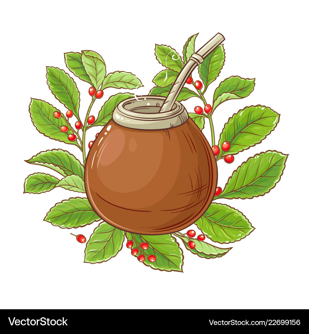 Mate tea Royalty Free Vector Image - VectorStock
