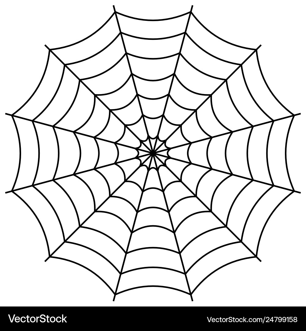 Round spider web cobweb Royalty Free Vector Image