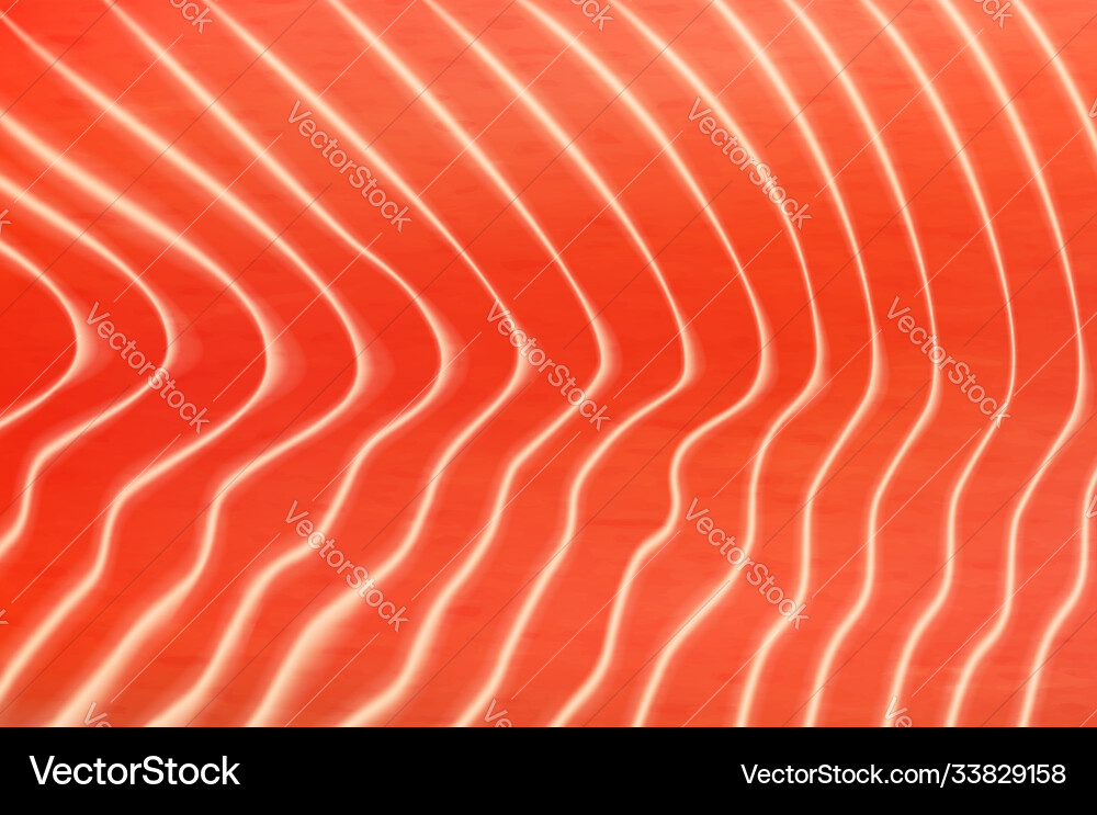 Salmon or trout fish meat texture wallpaper Vector Image