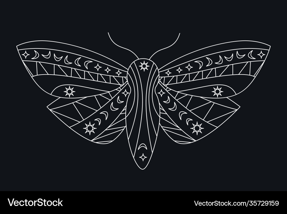 Gothic moth silhouette in outline style beauty Vector Image