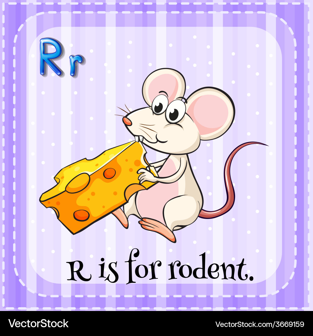 Letter r Royalty Free Vector Image - VectorStock