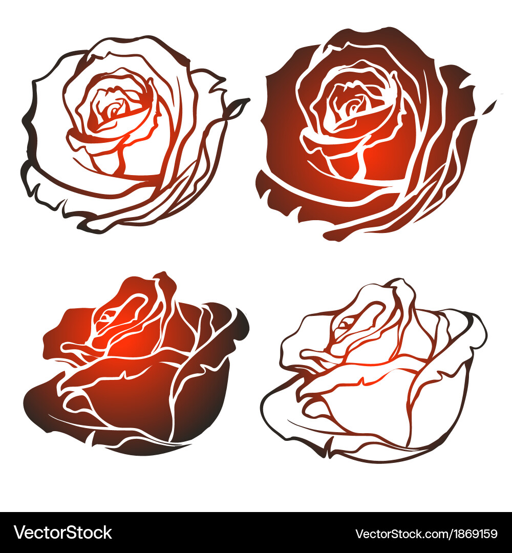 Rose Royalty Free Vector Image - VectorStock