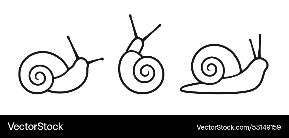Snail Royalty Free Vector Image - VectorStock