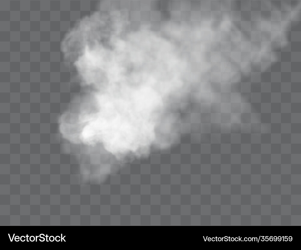 Transparent special effect stands out with fog Vector Image