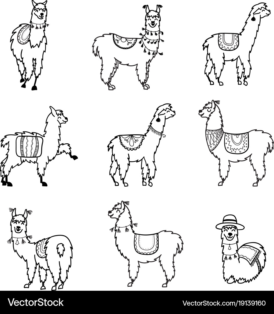 Cute character lama Royalty Free Vector Image - VectorStock