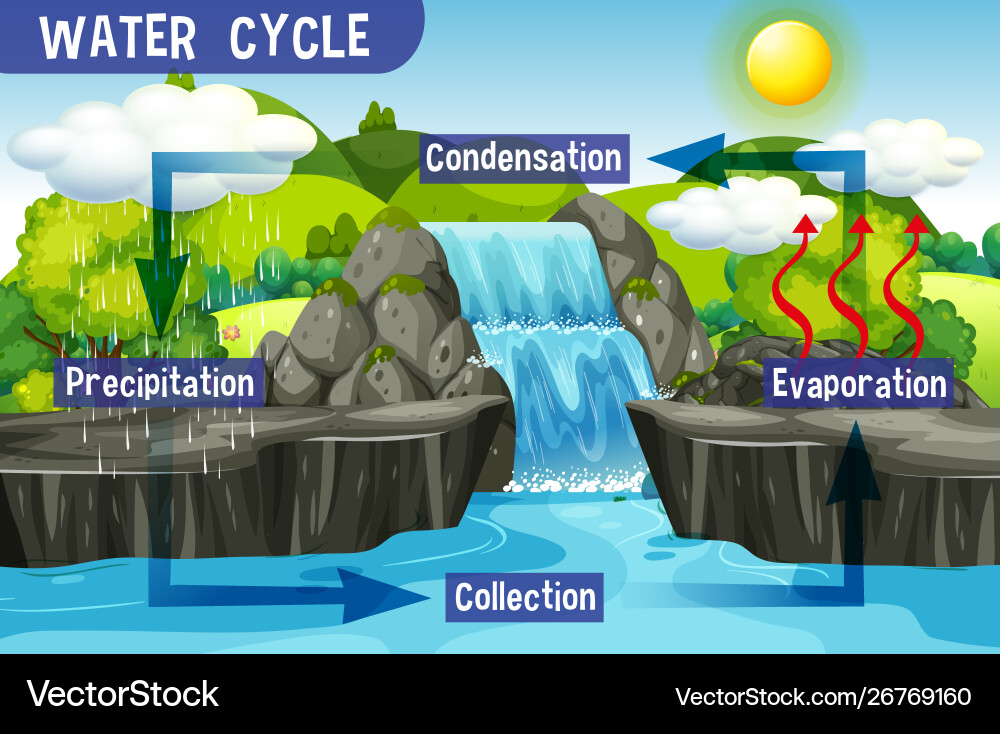 Water Cycle Diagram - Earth Science – Royalty-Free Vector | VectorStock