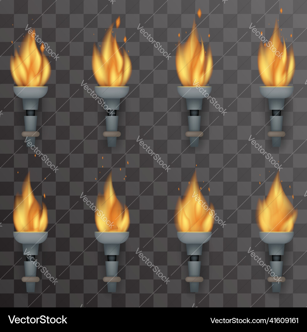 Torch fire animation frames on transparent Vector Image