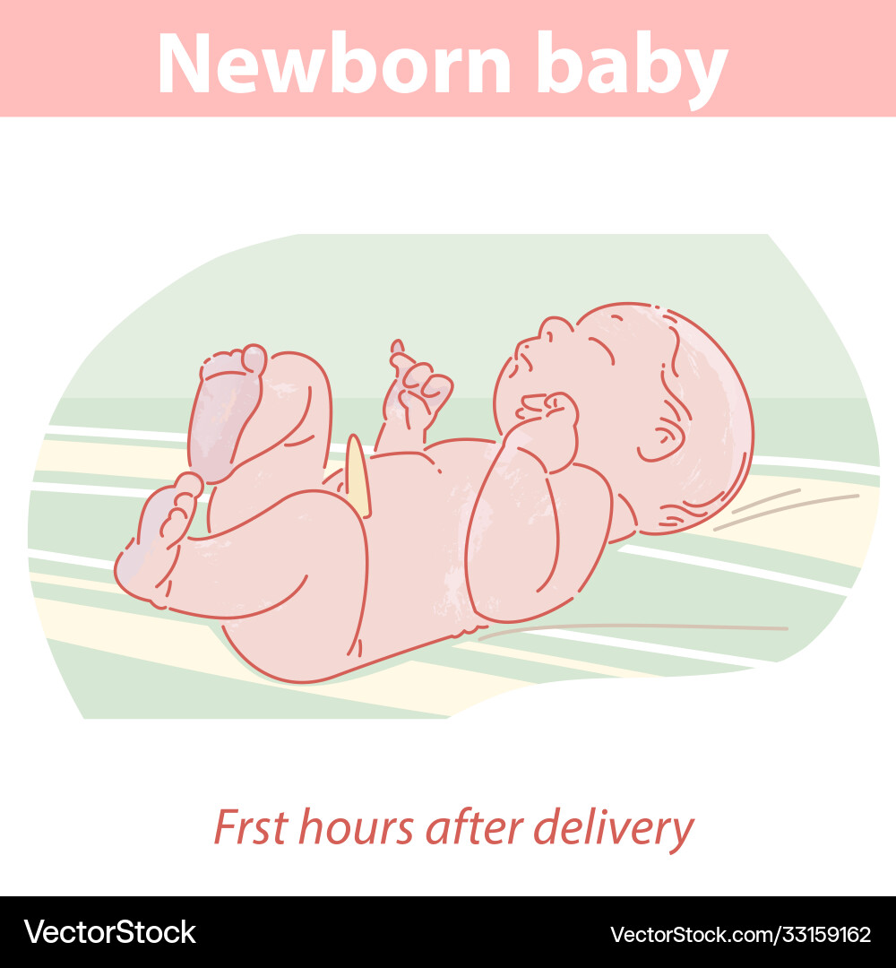 Newborn Baby First Moments Delivery Royalty Free Vector