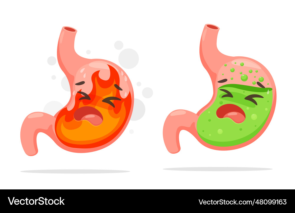 Cartoon stomach suffering from acid reflux Vector Image