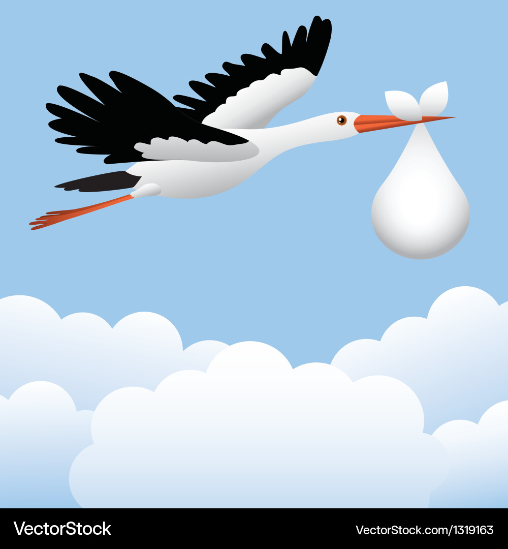Stork Royalty Free Vector Image - VectorStock