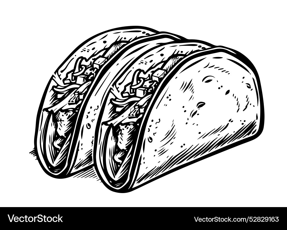 Taco sketch hand drawn food Royalty Free Vector Image