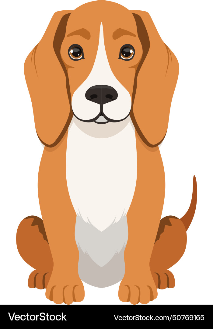 Beagle dog sitting cartoon pet character Vector Image