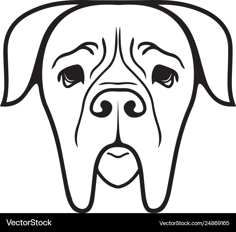Boerboel dog Royalty Free Vector Image - VectorStock