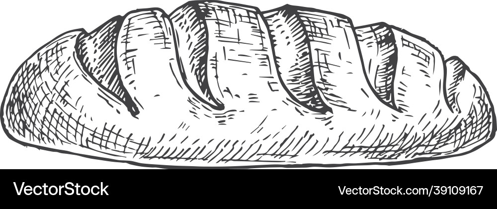 Bakery sketch hand drawn Royalty Free Vector Image