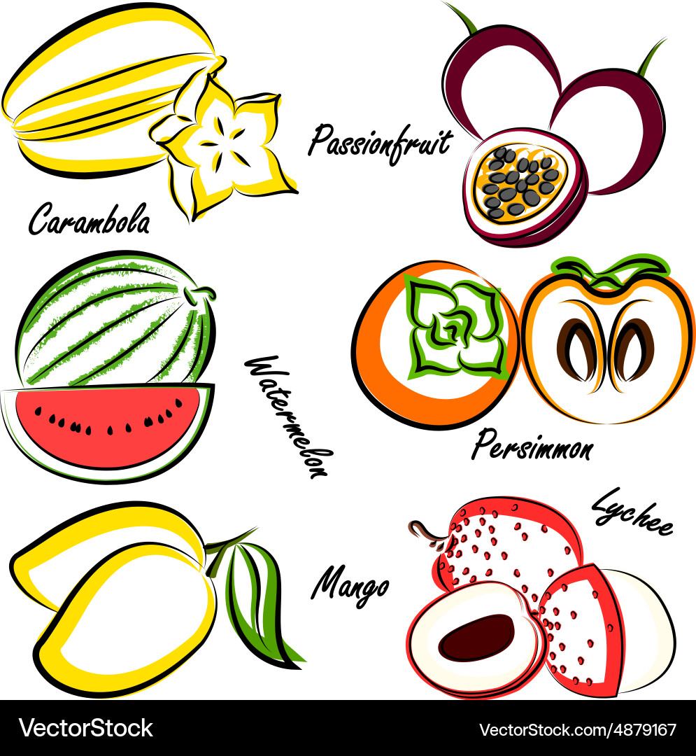Tropical Fruit Set Royalty Free Vector Image - VectorStock