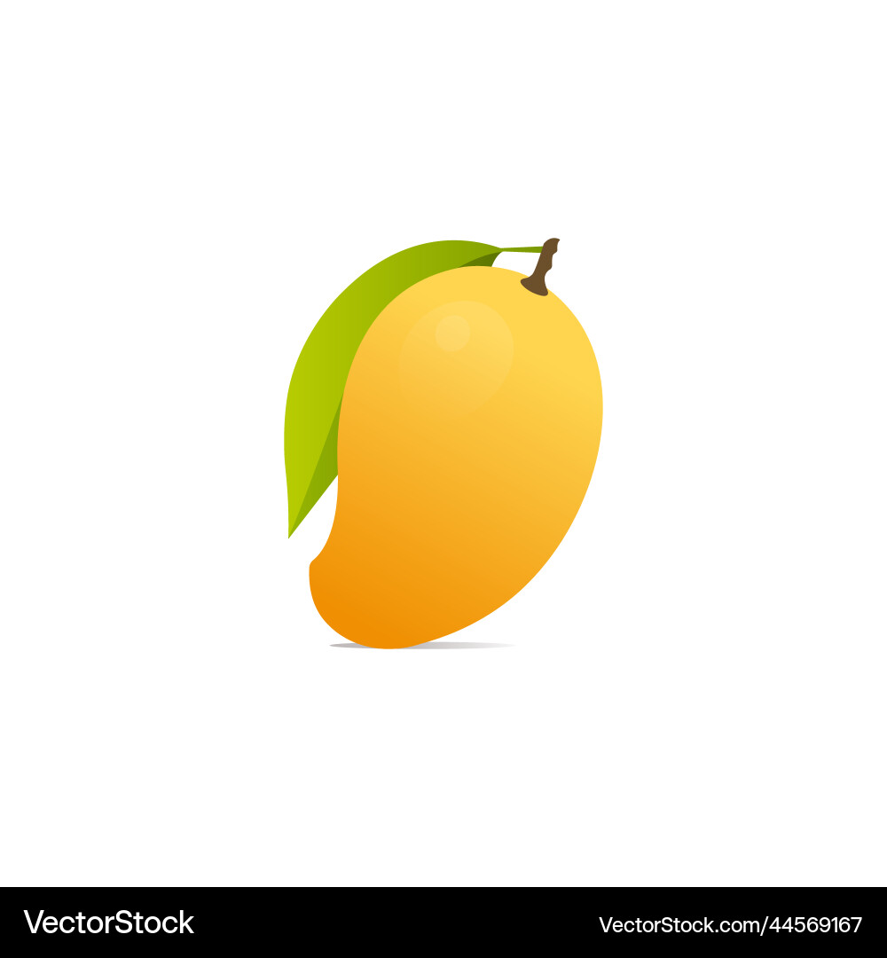 Yellow mango Royalty Free Vector Image - VectorStock