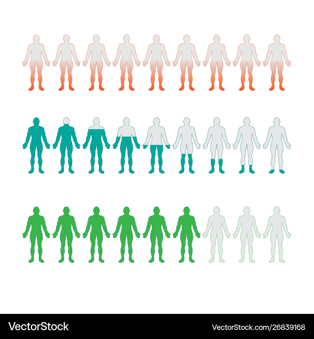 Human body muscles level line Royalty Free Vector Image