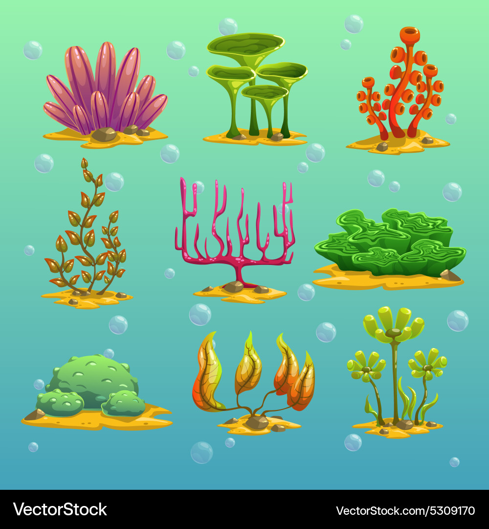 Algae Royalty Free Vector Image - VectorStock