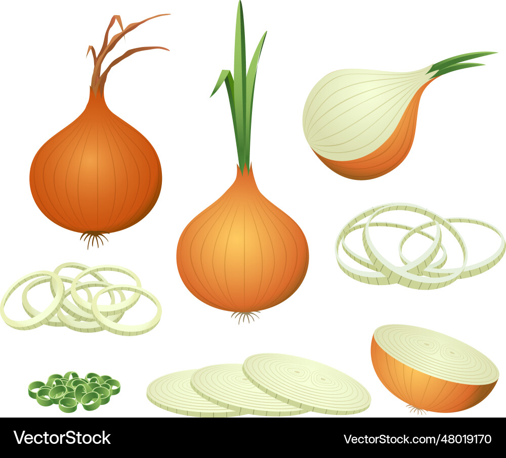 Spring Onions Cartoon Vector Images (over 700)