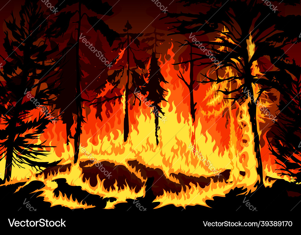 Forest fire wildfire disaster with burning trees Vector Image