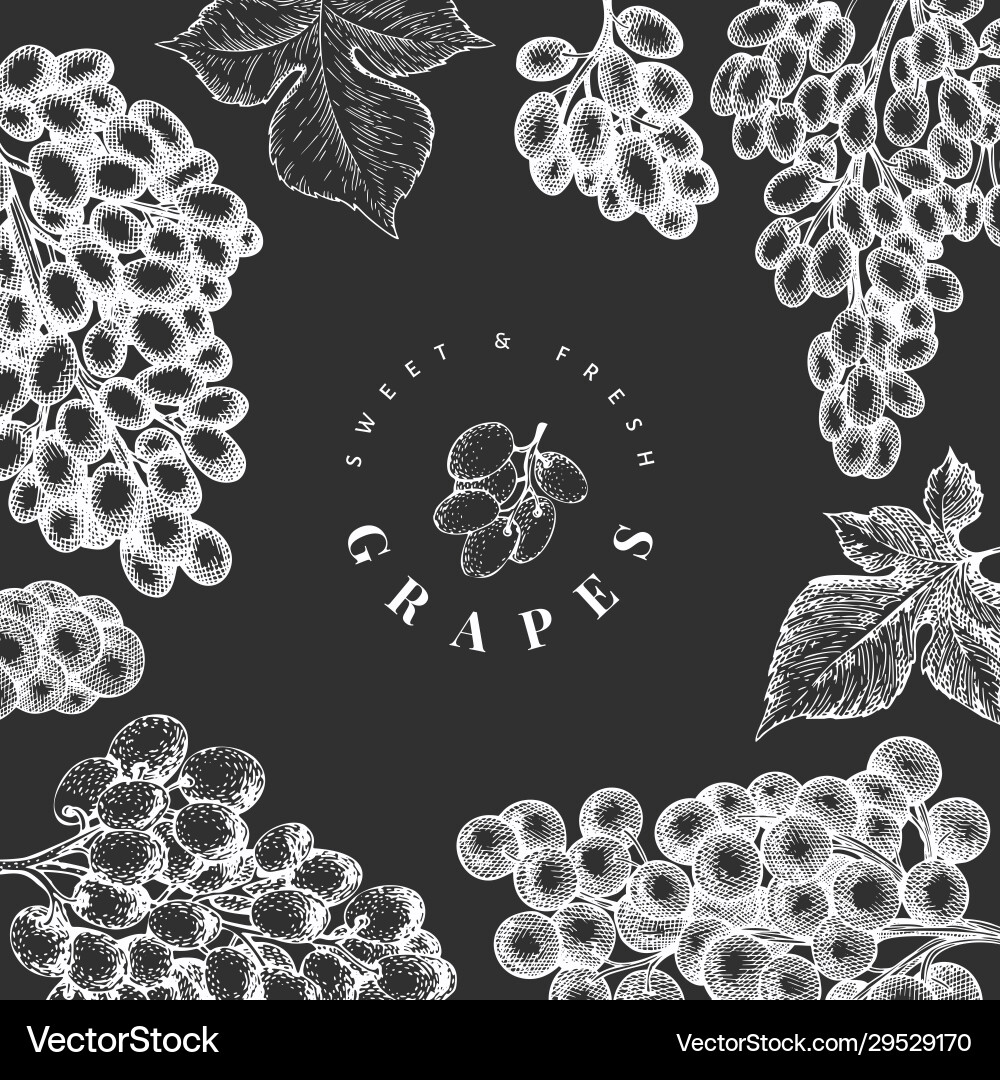 Grape design template hand drawn berry Royalty Free Vector