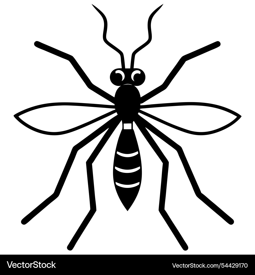Water strider insect flat on white background Vector Image