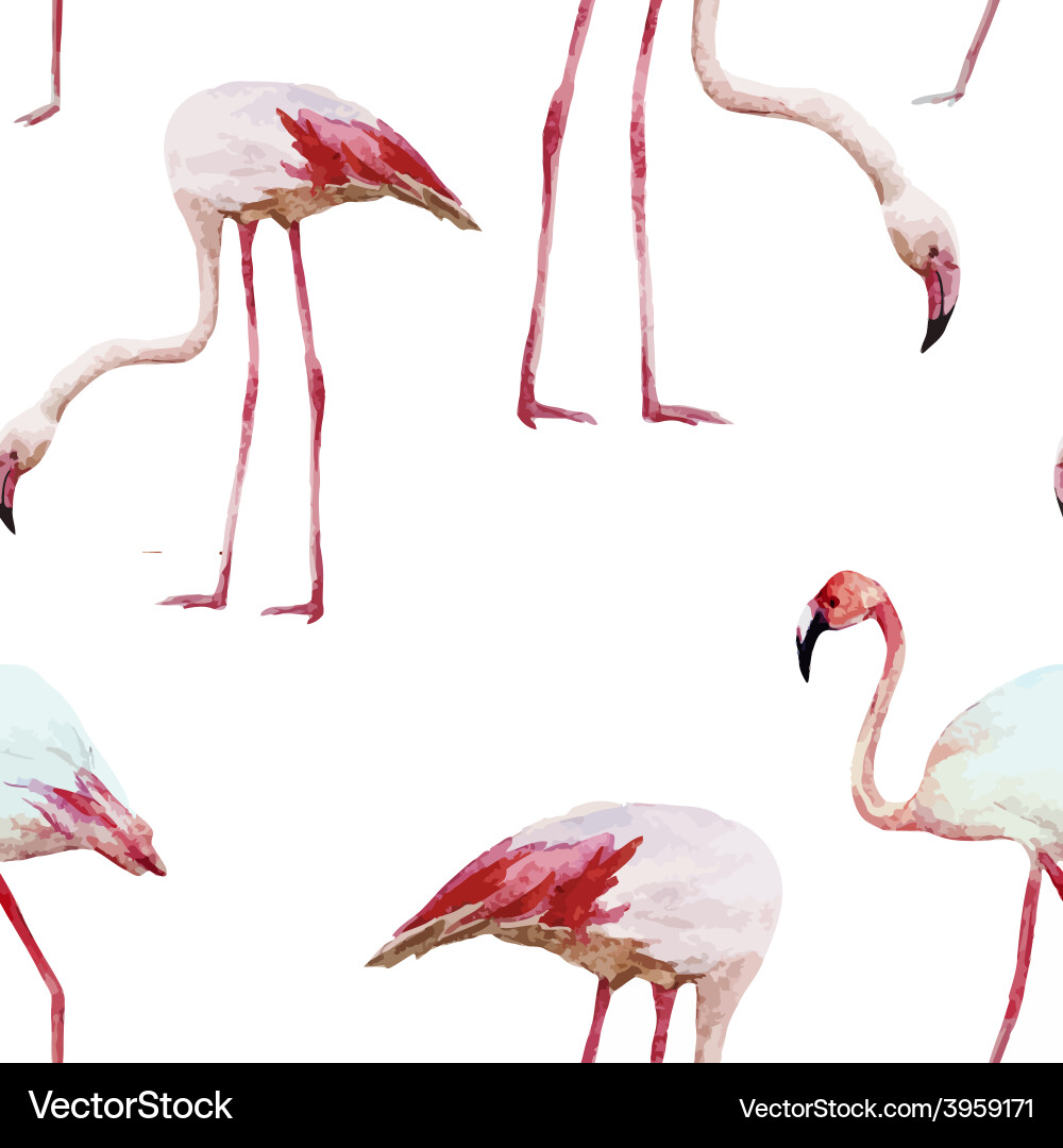 Flamingo pattern Royalty Free Vector Image - VectorStock