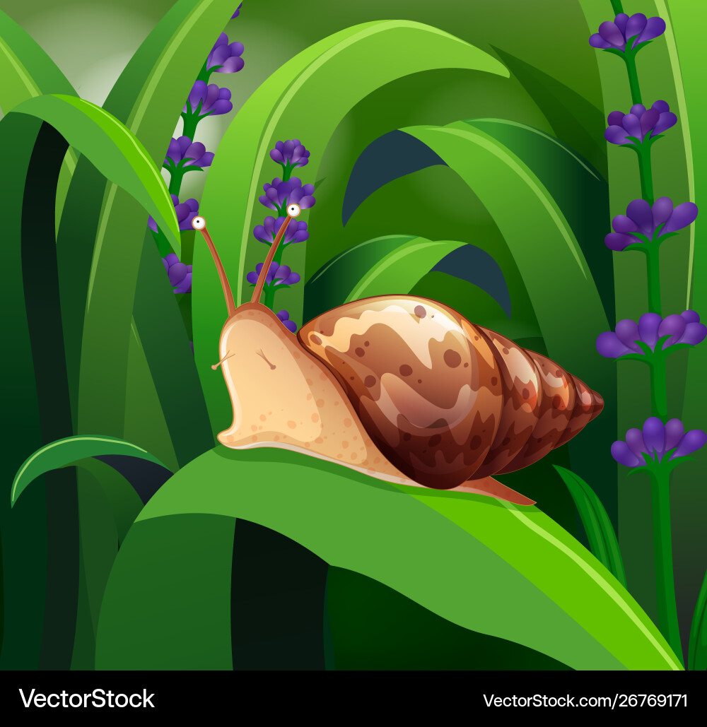 Nature scene with snail on green leaf Royalty Free Vector