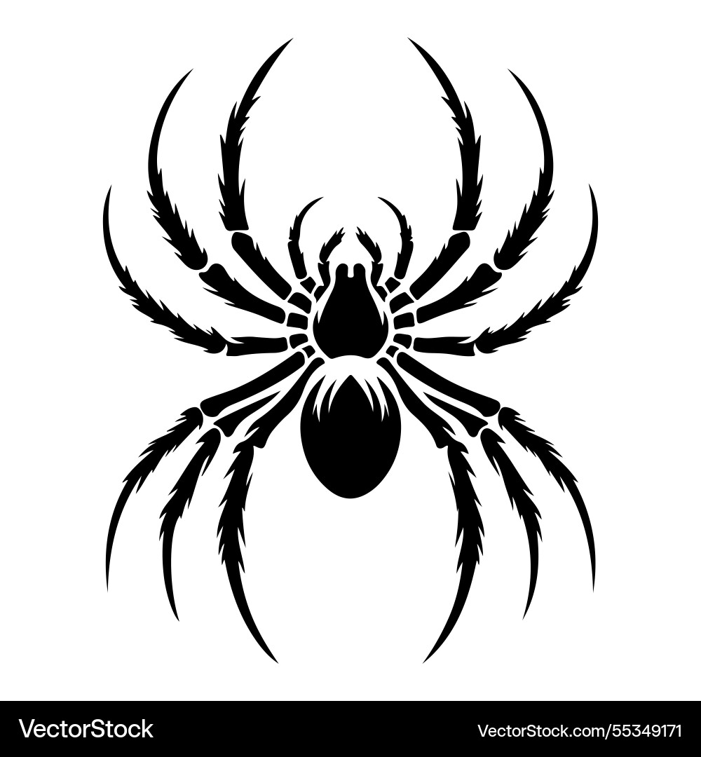 Spider Royalty Free Vector Image - VectorStock