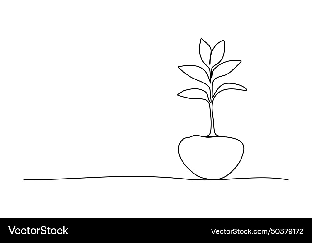 Flower one line drawing Royalty Free Vector Image