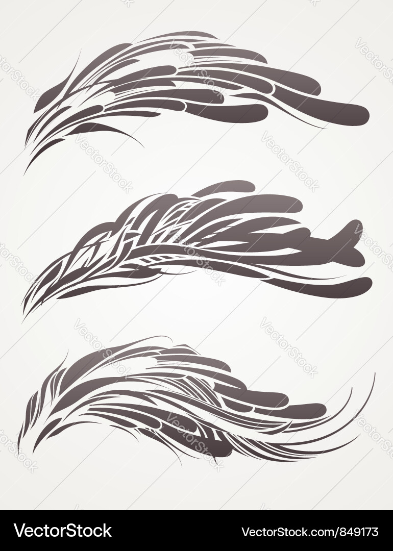 Elegant Feather & Swirl Decor Royalty Free Vector Image