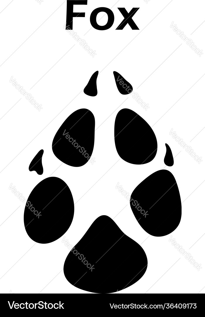 Fox footprint Royalty Free Vector Image - VectorStock
