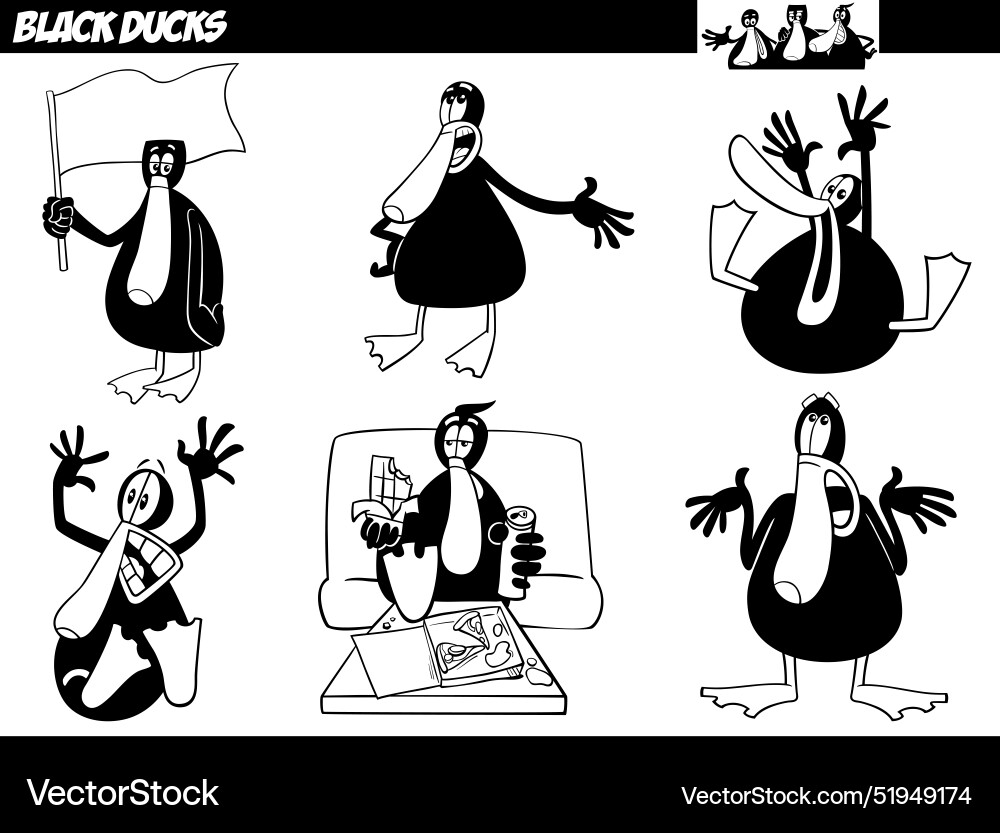 Cartoon black ducks animal characters set Vector Image