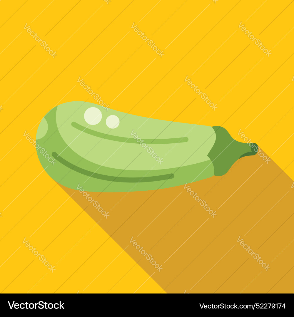 Green zucchini lying on yellow background Vector Image