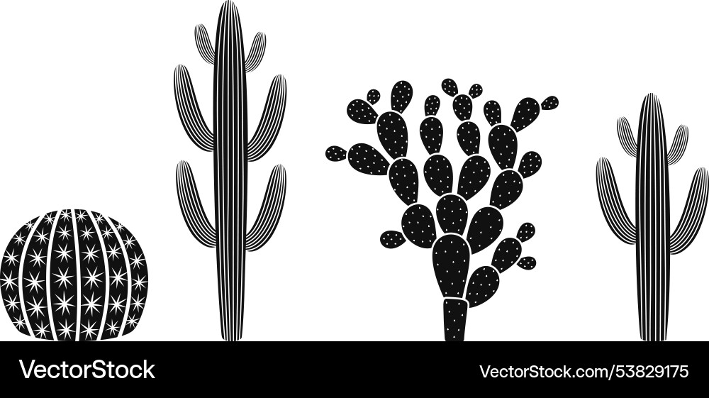 Cactus Royalty Free Vector Image - VectorStock