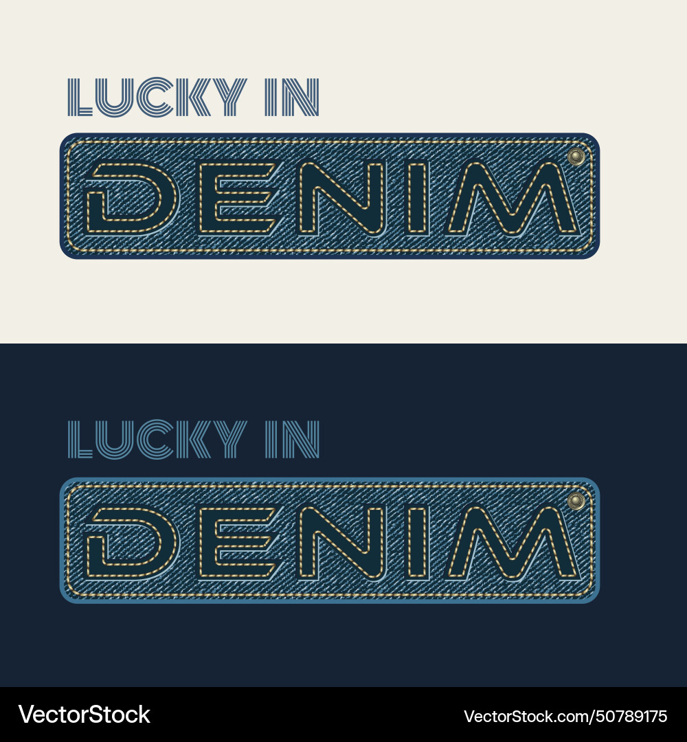 Horizontal denim label with text Royalty Free Vector Image